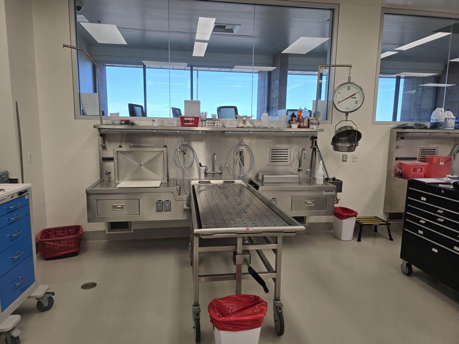 WEEK NINE: Post-Mortem Examination (Autopsy) - BASIS Prescott